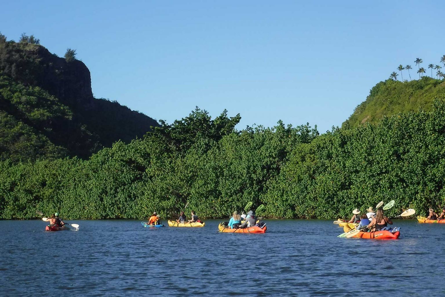 Wailua River Kayaking Tour | Relaxing Adventure with Kayak Kauai