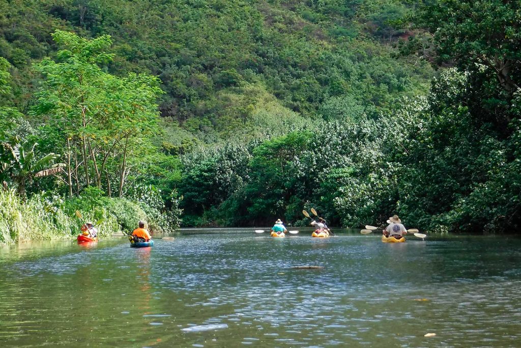 Wailua River Kayaking Tour | Relaxing Adventure with Kayak Kauai