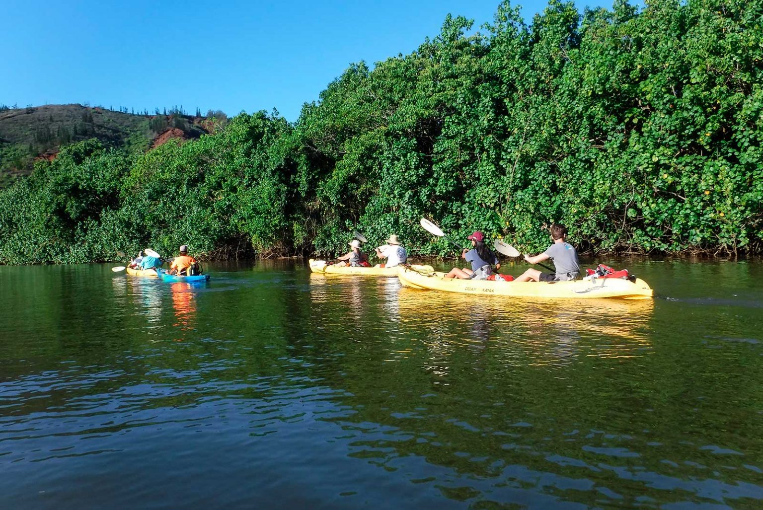 Wailua River Kayaking Tour | Relaxing Adventure with Kayak Kauai
