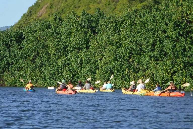 Wailua River Kayaking Tour | Relaxing Adventure with Kayak Kauai