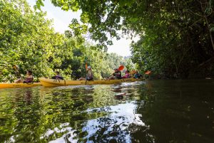 Wailua Kayak Rentals | Explore Kauai’s Wailua River