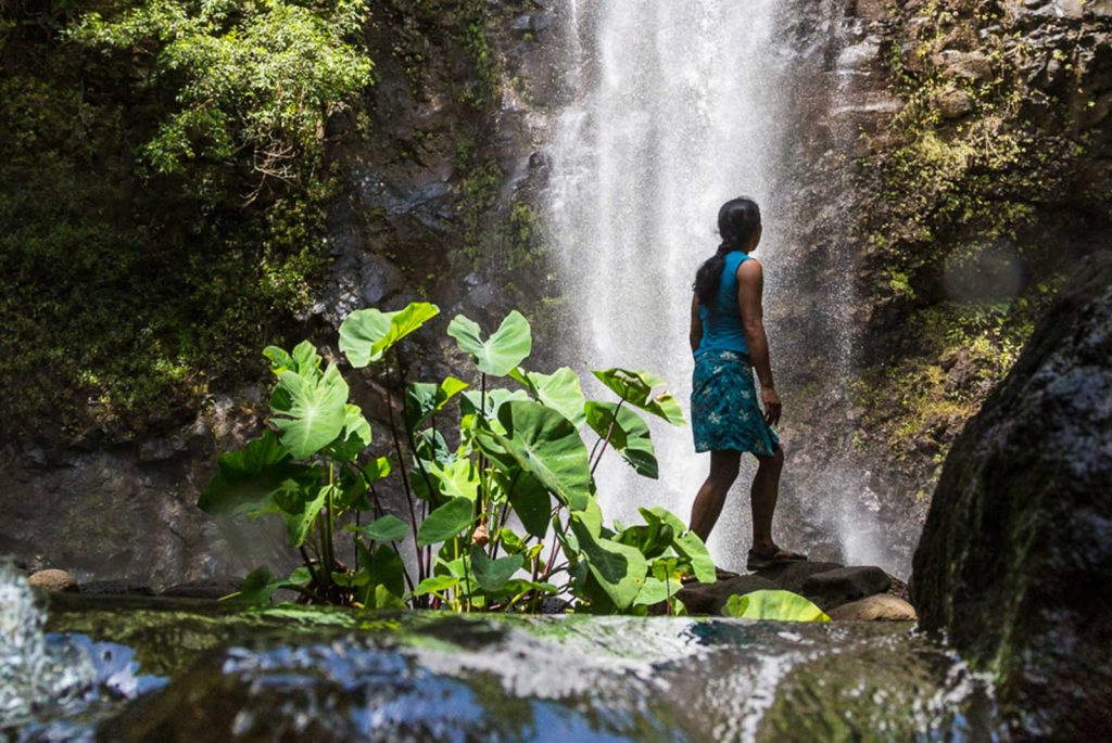 Wailua Kayak Rentals | Explore Kauai’s Wailua River