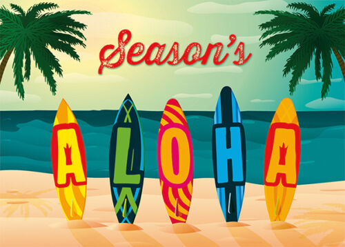 Wailua Kayak Rentals | Explore Kauai’s Wailua River